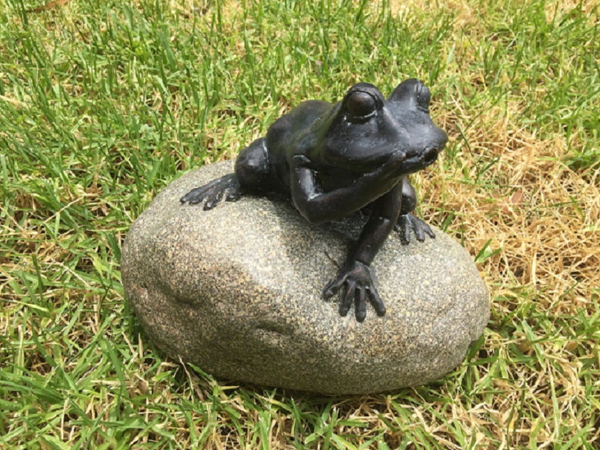 Garden Pond Fountain Frog spitting water Solar Powered pump Swimming p ...