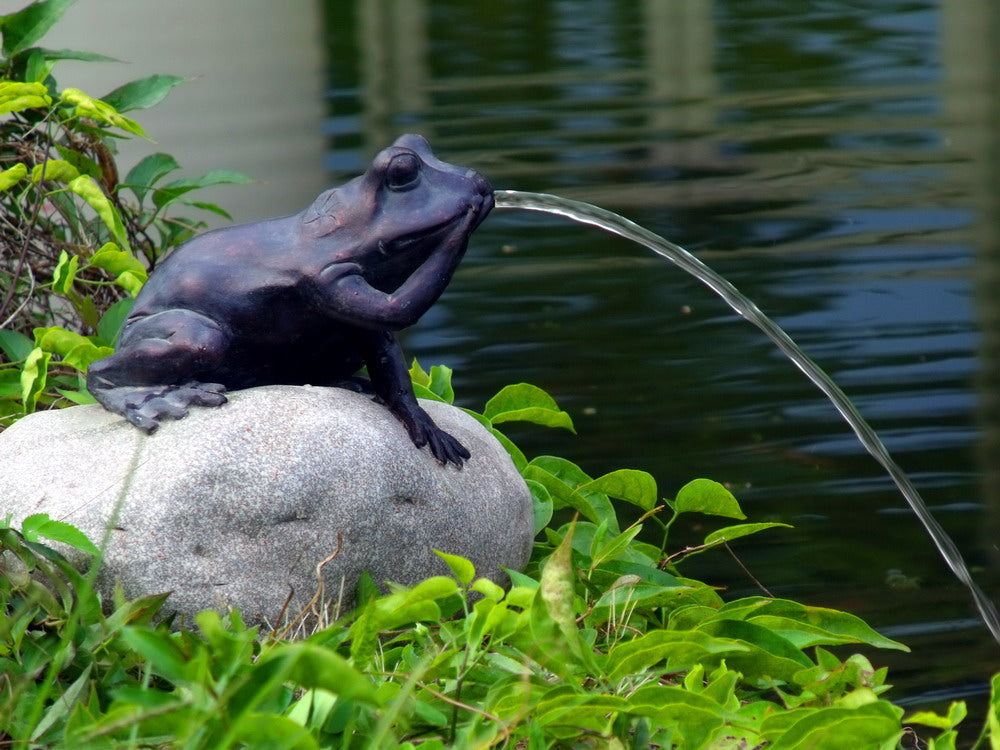 Garden Pond Fountain Frog spitting water Solar Powered pump Swimming p ...